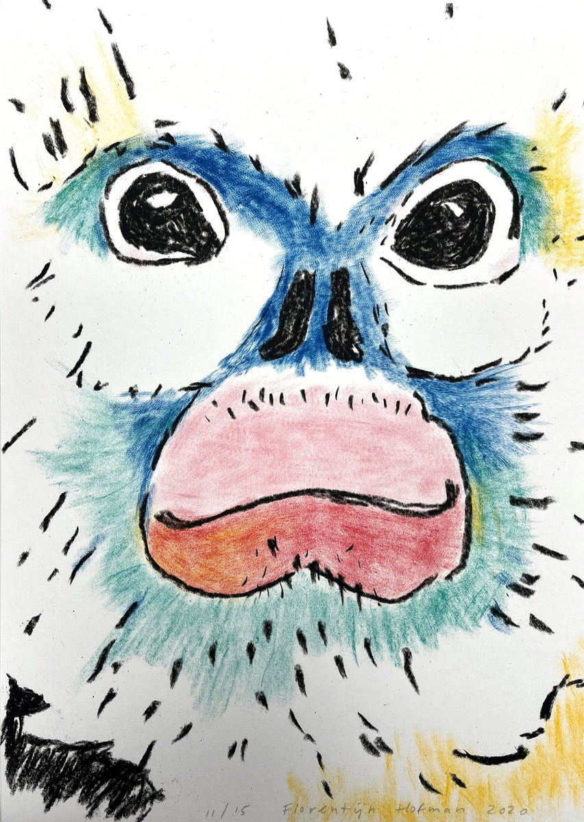 Snubnose Monkey | Whitestone Gallery