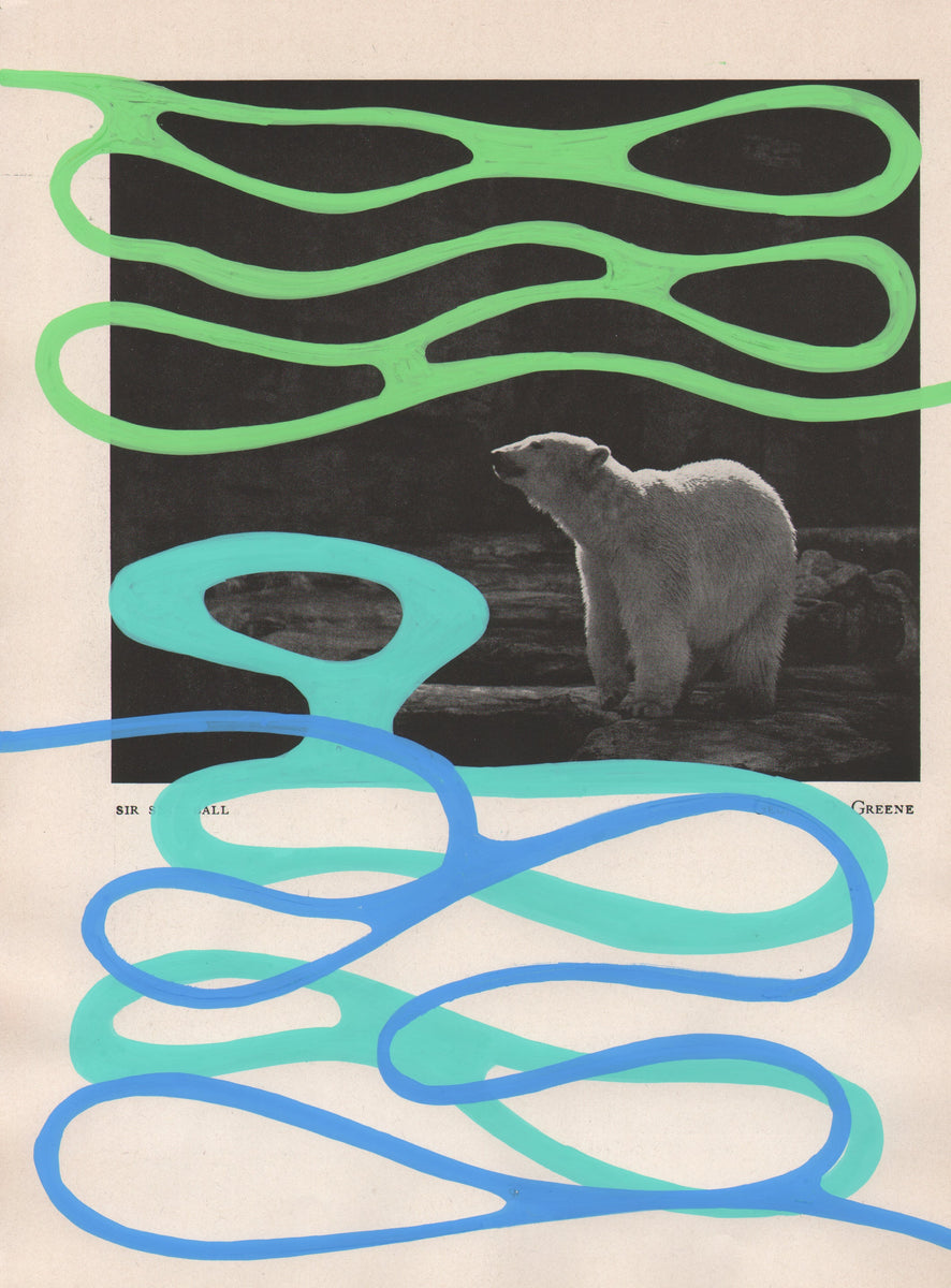 AMERICAN PHOTO JOURNAL POSCA 105 POLAR BEAR | Whitestone Gallery