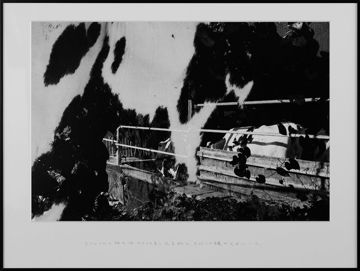 A Large, Foul-Smelling Creature with a Monochrome Pattern, Swarmed by ...